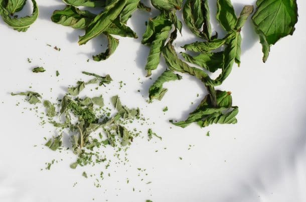 How to dry mint - Maureen Abood