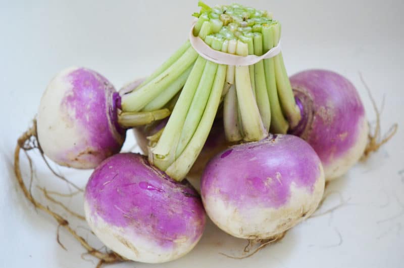 Lebanese Pickled Turnips - Maureen Abood