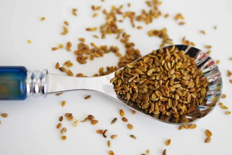 What Is Anise? Everything You Need to Know! - Maureen Abood