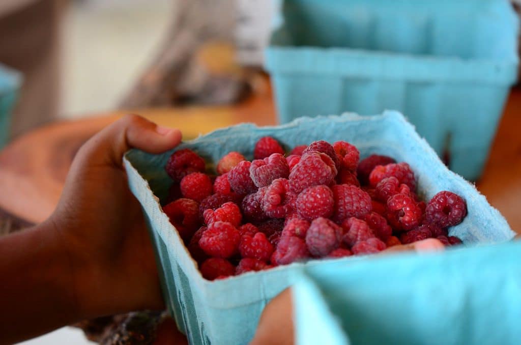 Raspberries, U-Pick - Maureen Abood